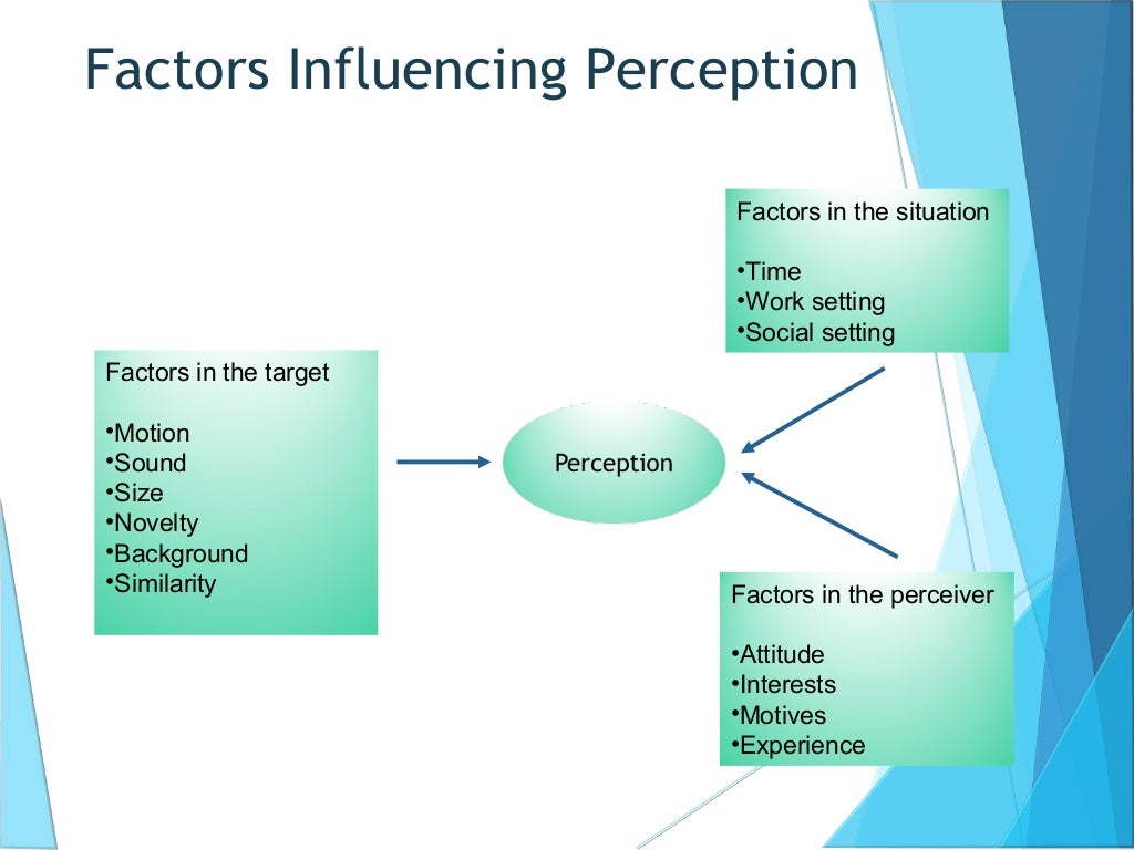 Perceptual Process - Organizational Behaviour