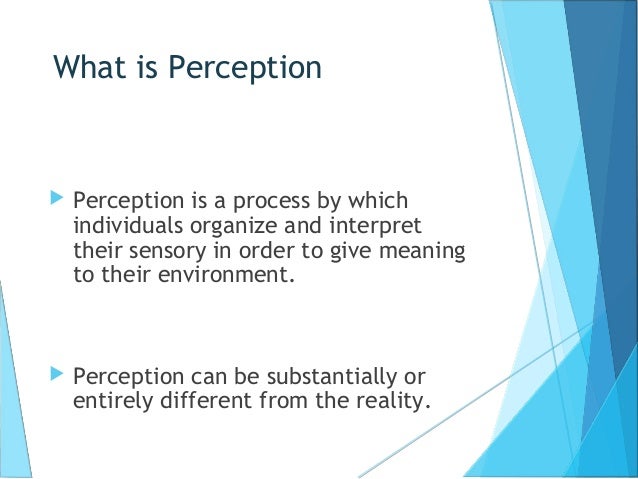 Perceptual Process - Organizational Behaviour