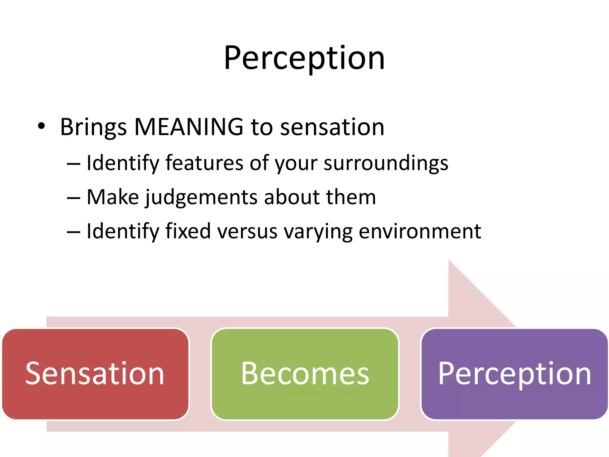 Perceptual processing | PPT