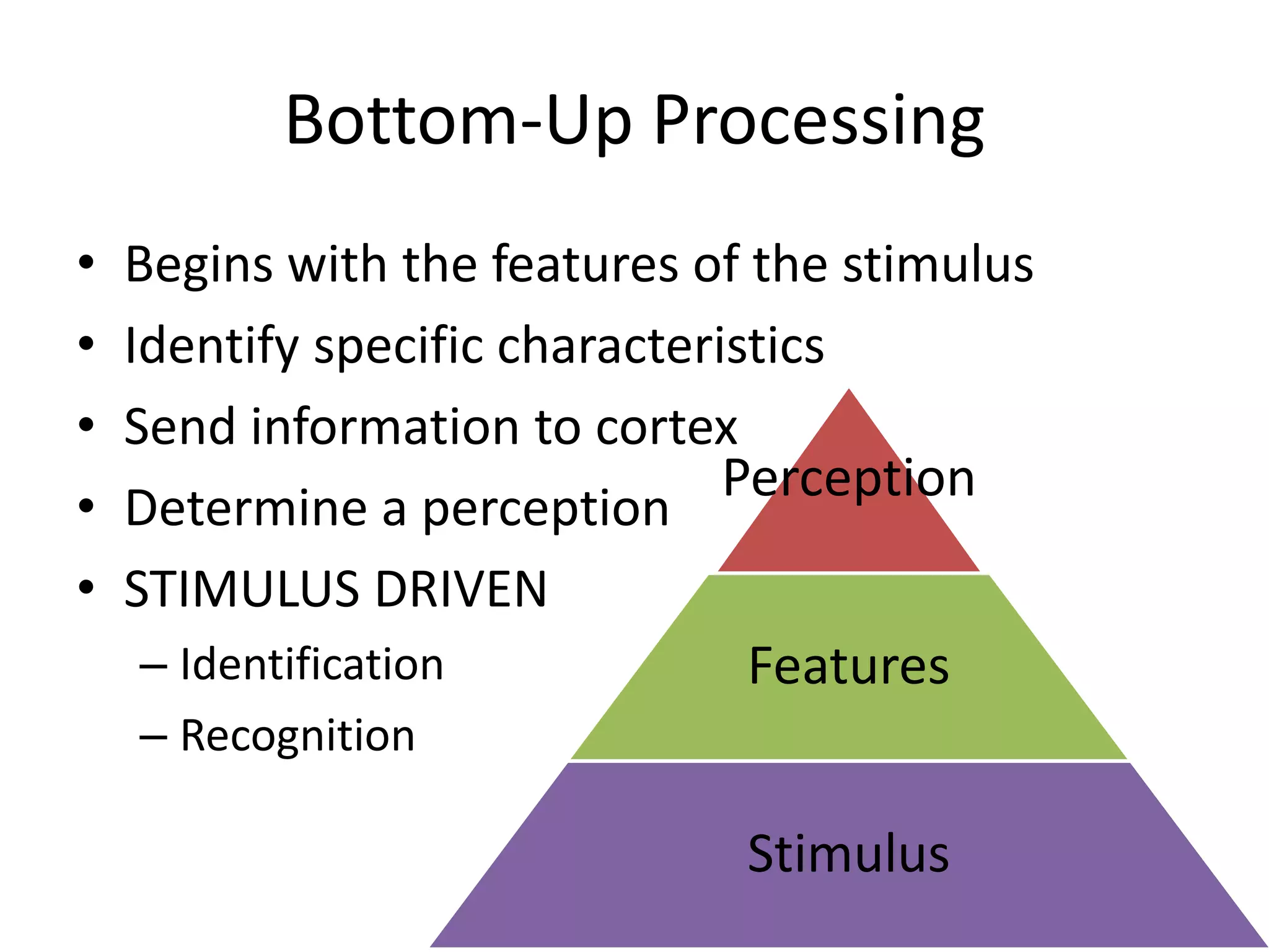 Perceptual processing | PPT