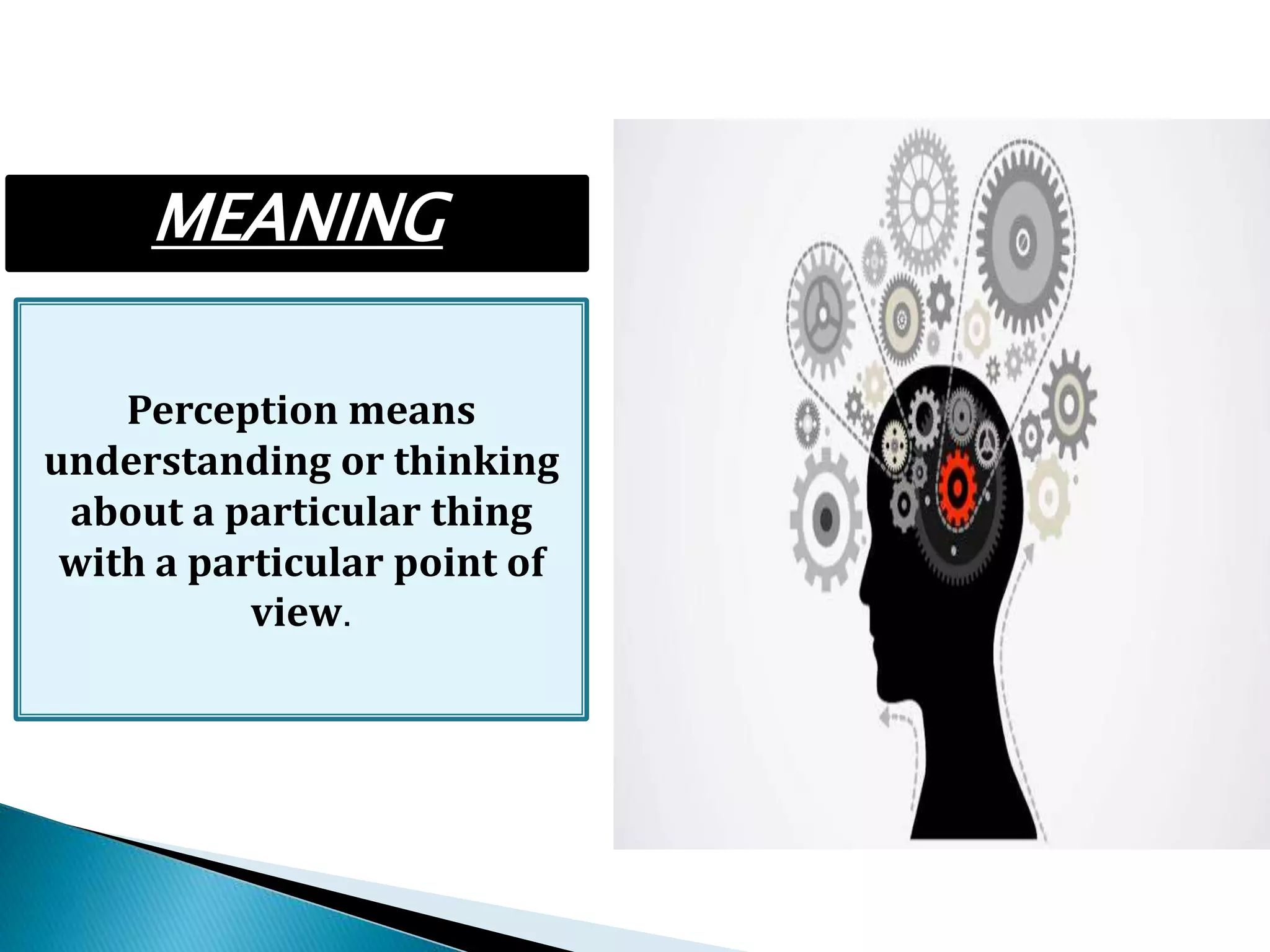 Perception and Consumer Behaviour | PPTX