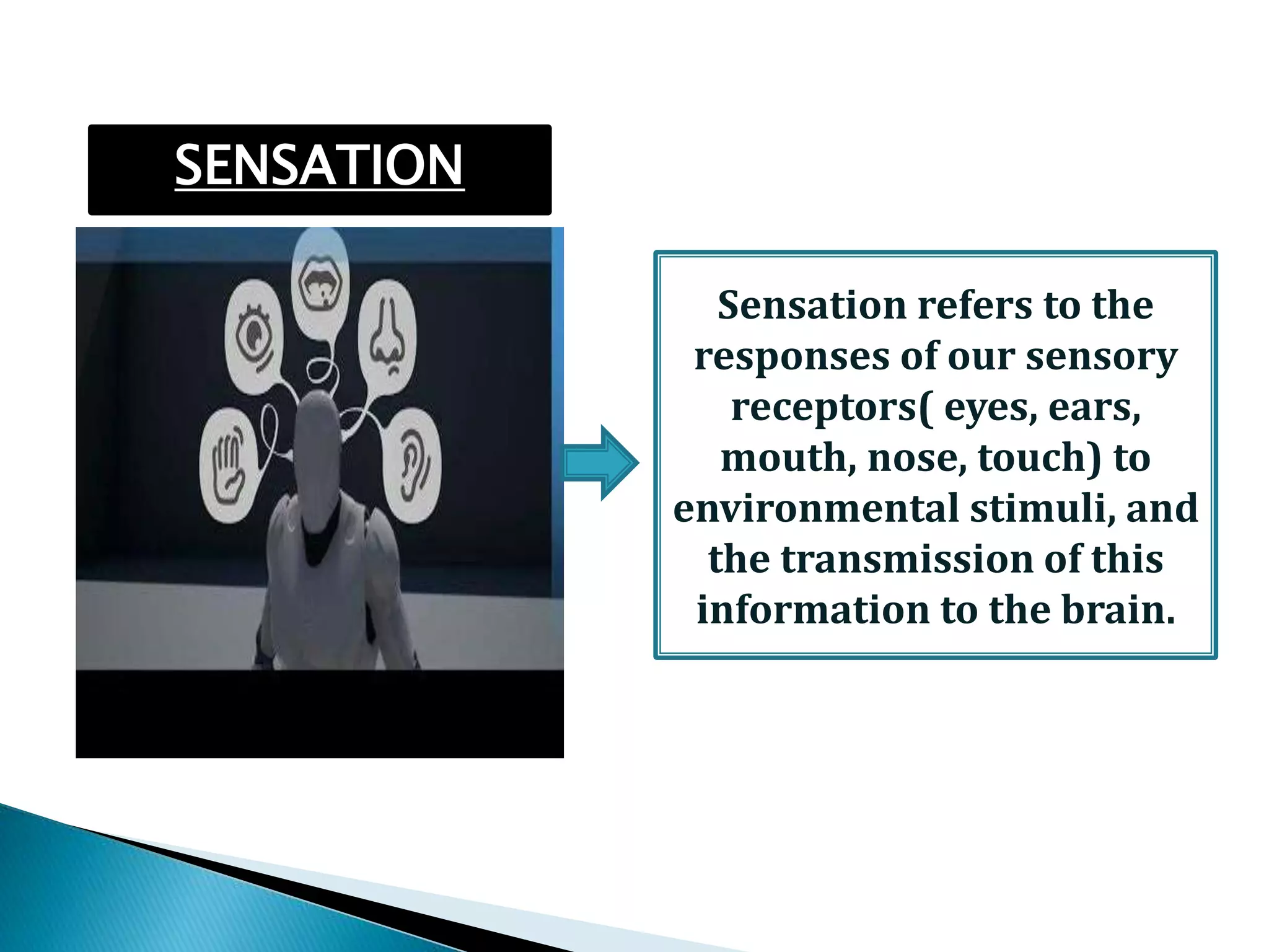 Perception and Consumer Behaviour | PPTX