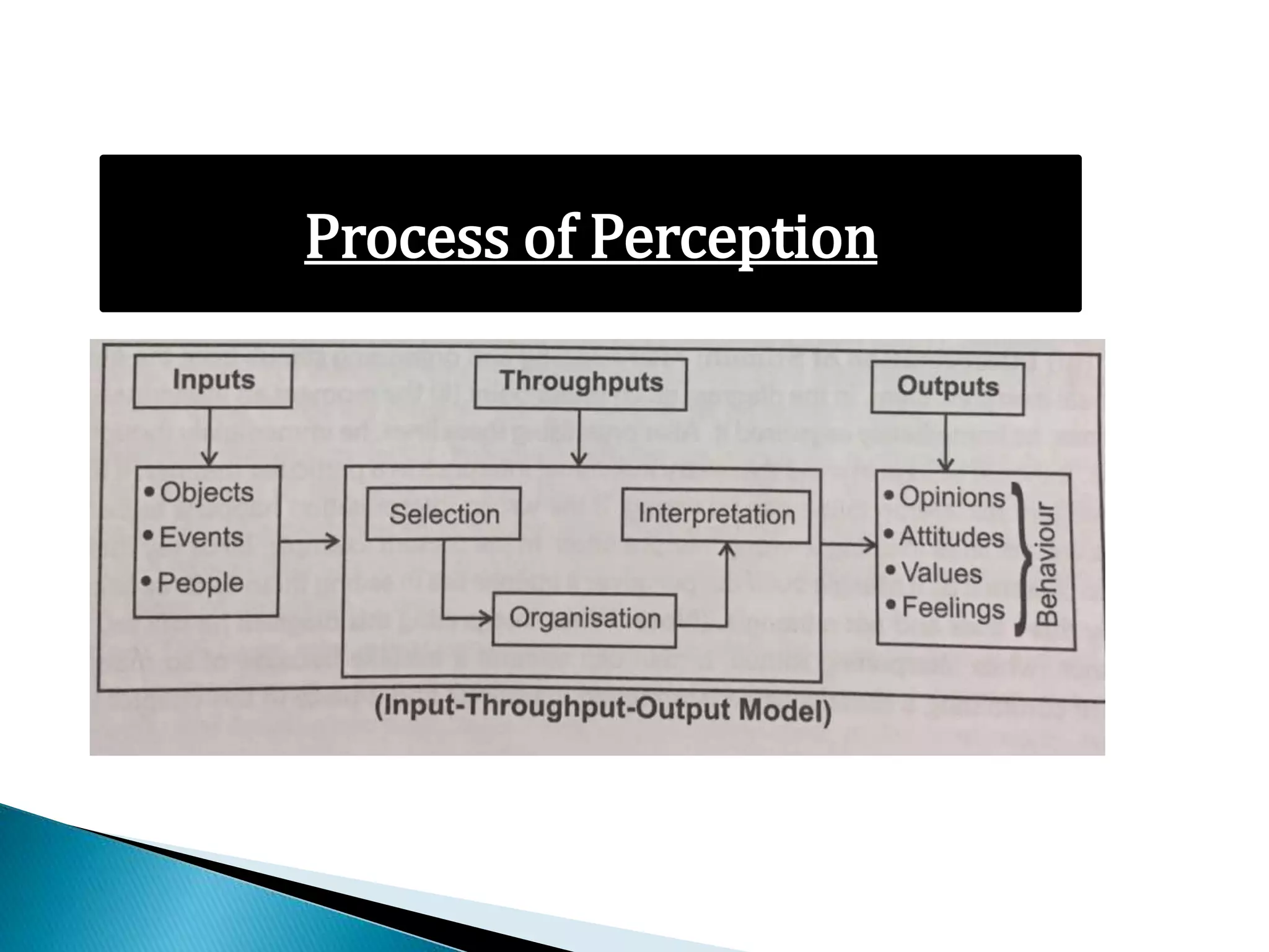 Perception and Consumer Behaviour | PPTX