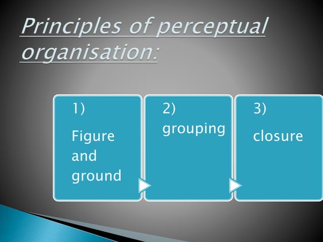 Perception and Consumer Behaviour | PPTX