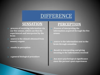 Perception and Consumer Behaviour | PPTX