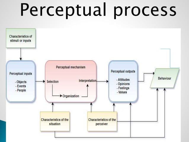 Perception and Consumer Behaviour | PPTX