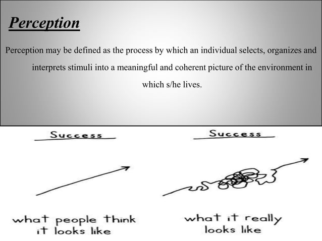 Perceptual selection | PPTX