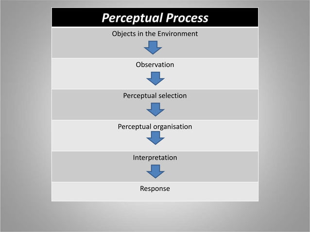 Perceptual selection | PPTX