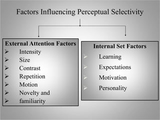 Perceptual selection | PPTX