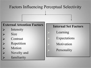 Perceptualselection | PPT