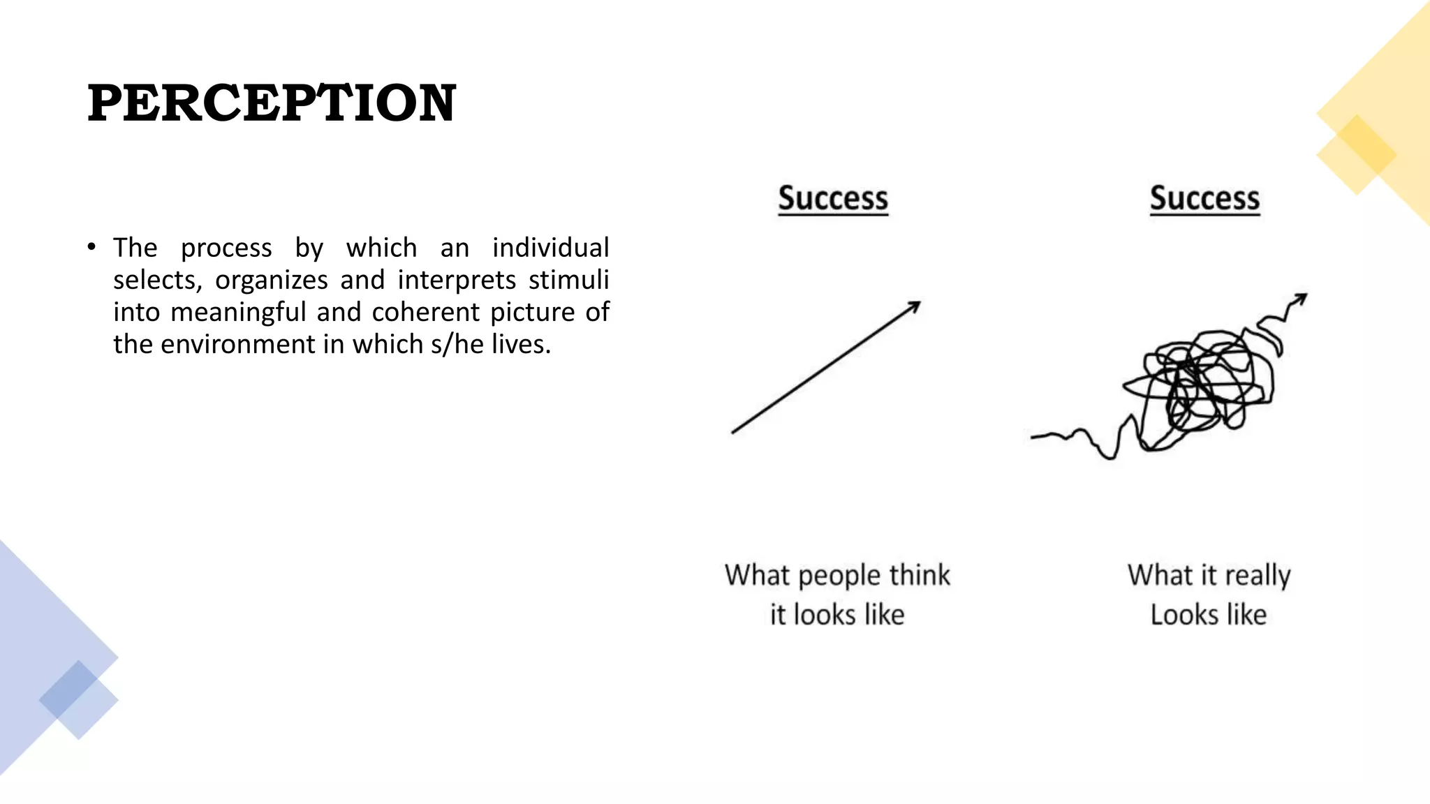 Perceptual selection | PPTX