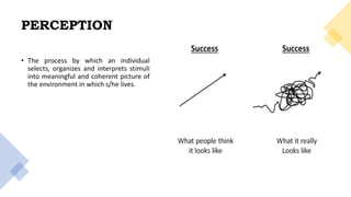 Perceptual selection | PPTX | Science