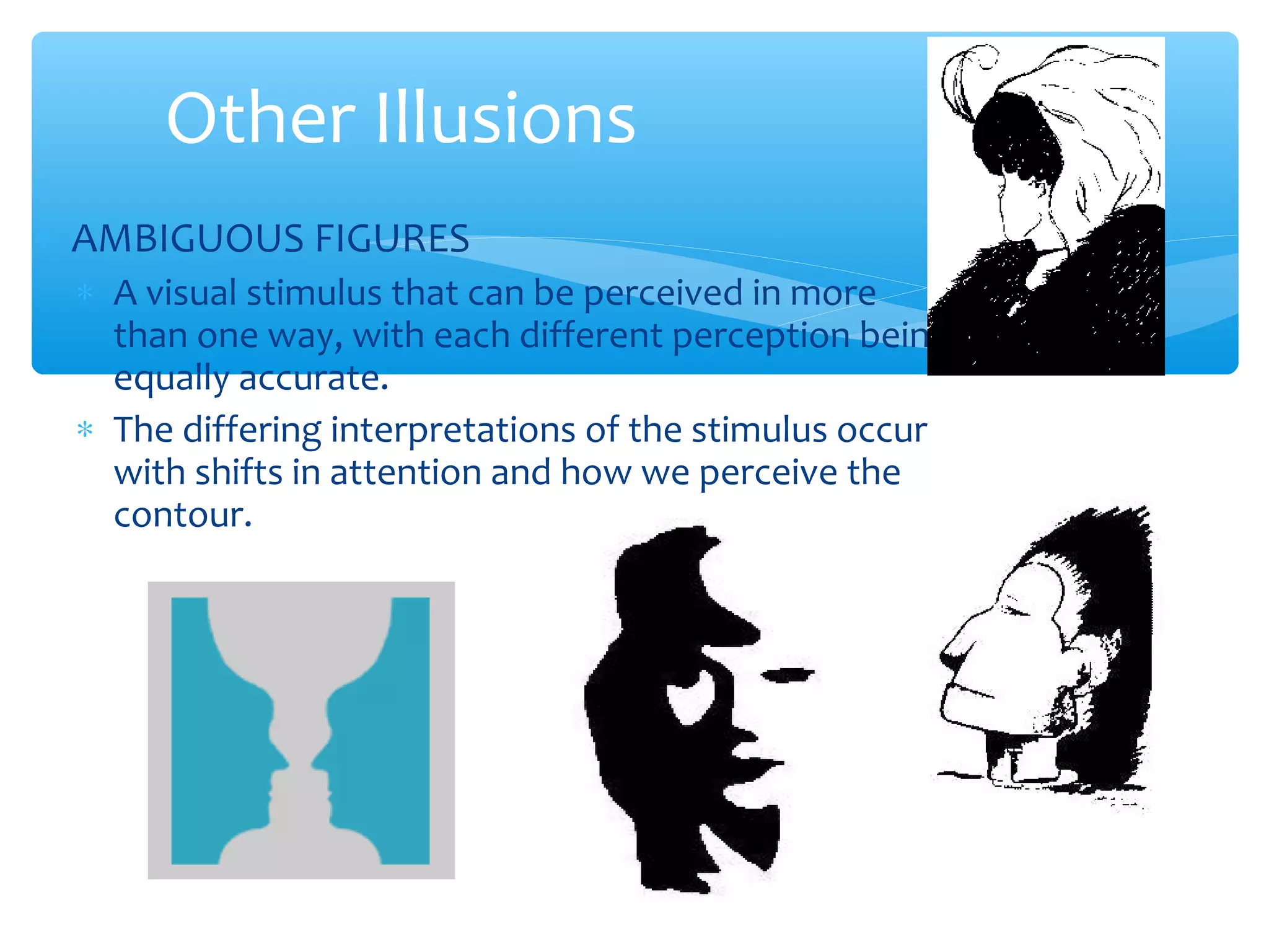 Perceptual set and illusions 2013 | PPT