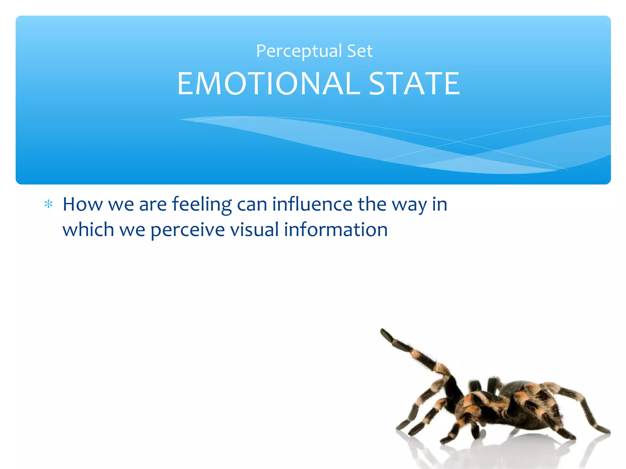 Perceptual set and illusions 2013 | PPT
