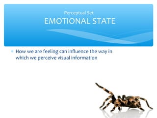 Perceptual set and illusions 2013 | PPT