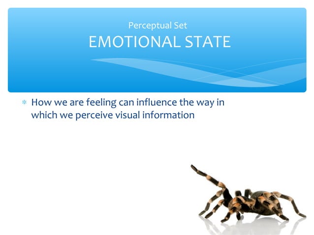Perceptual set and illusions 2013 | PPT