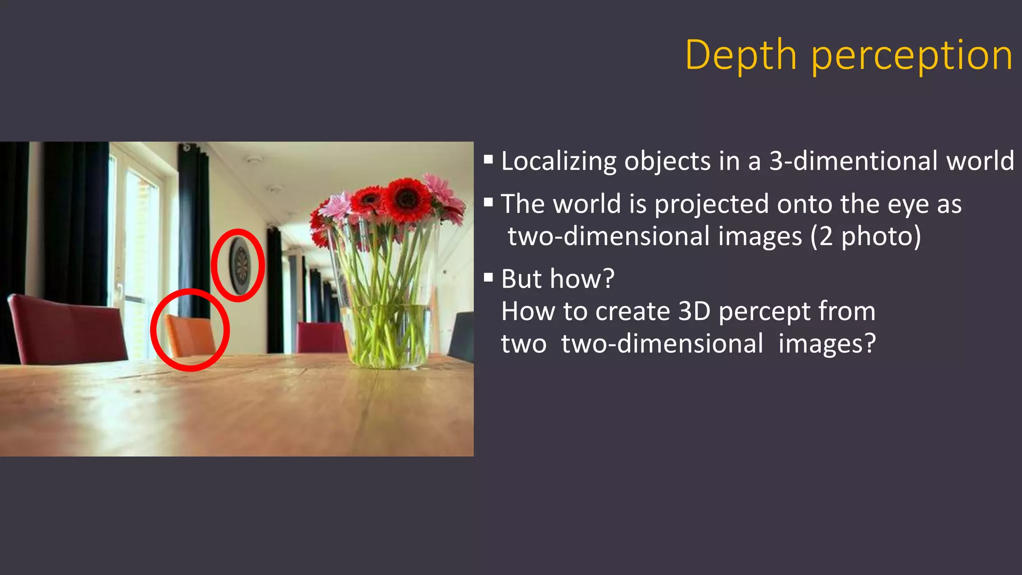 Psychology of Perception & Attention | PPTX