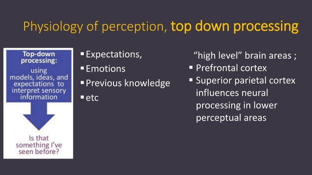 Psychology of Perception & Attention | PPT