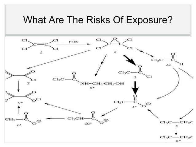 Presentation on Perchloroethylene and its Regulation: Colorado School ...