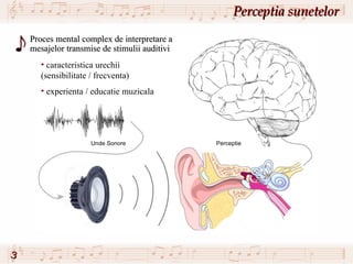 Perceptia Sunetelor | PPT