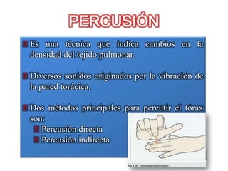 Percusión de caja torácica | PPTX