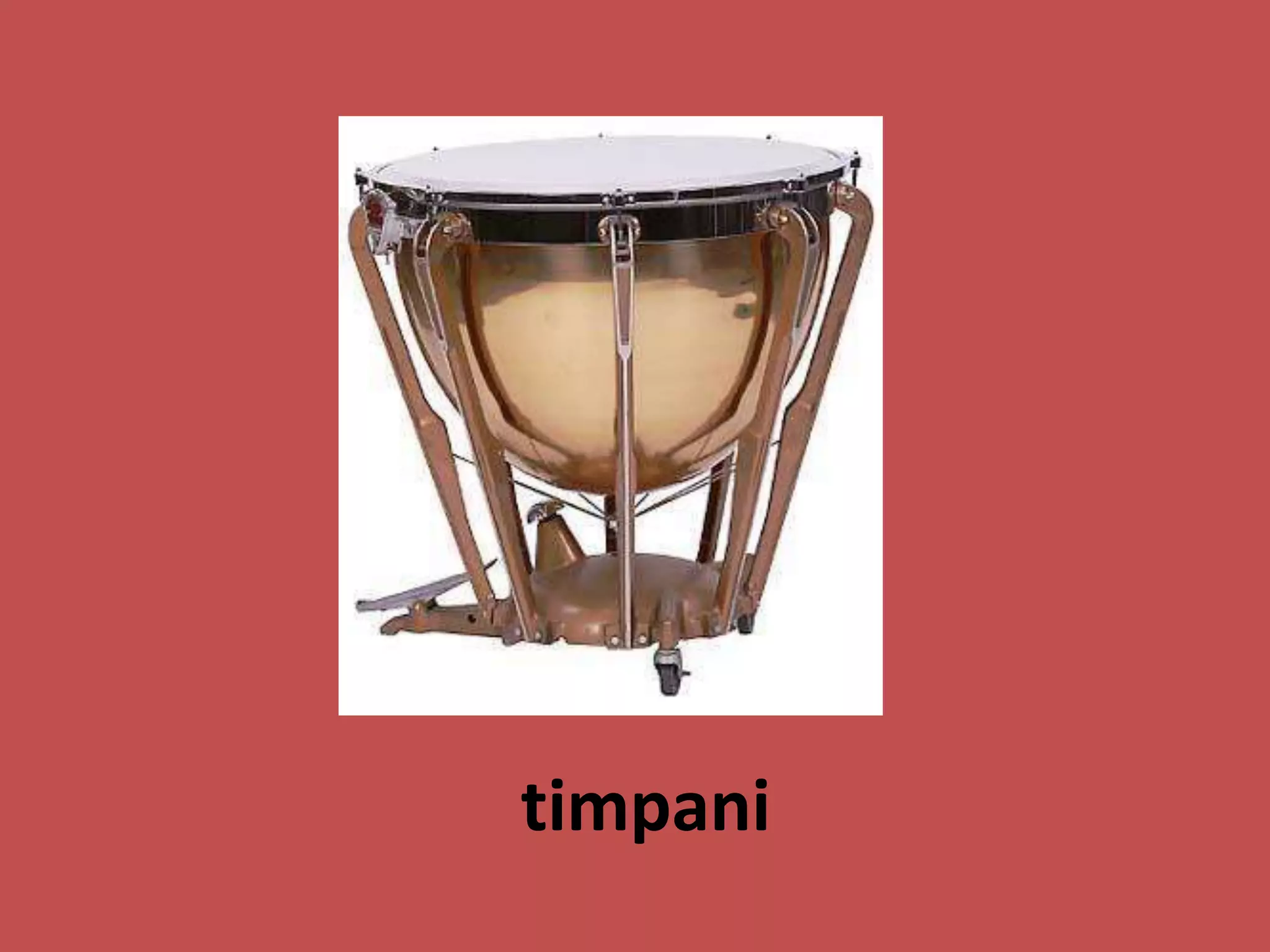 Percussion family | PPTX
