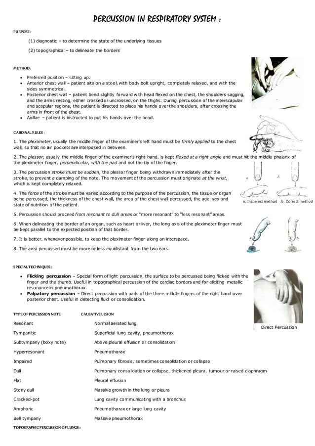 Percussion in respiratory system | DOCX