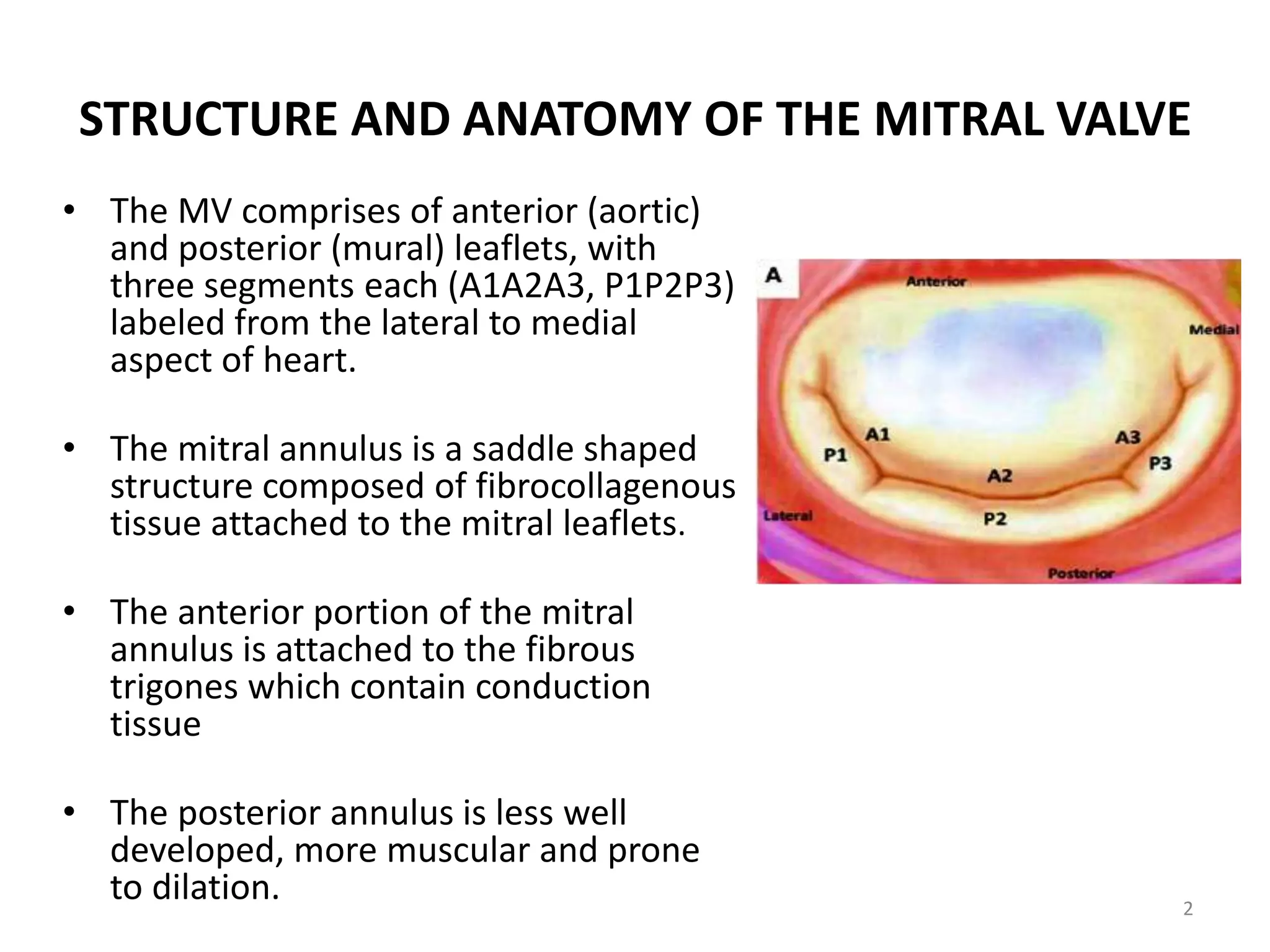 Percutaneous mitral valve interventions for MR | PPTX