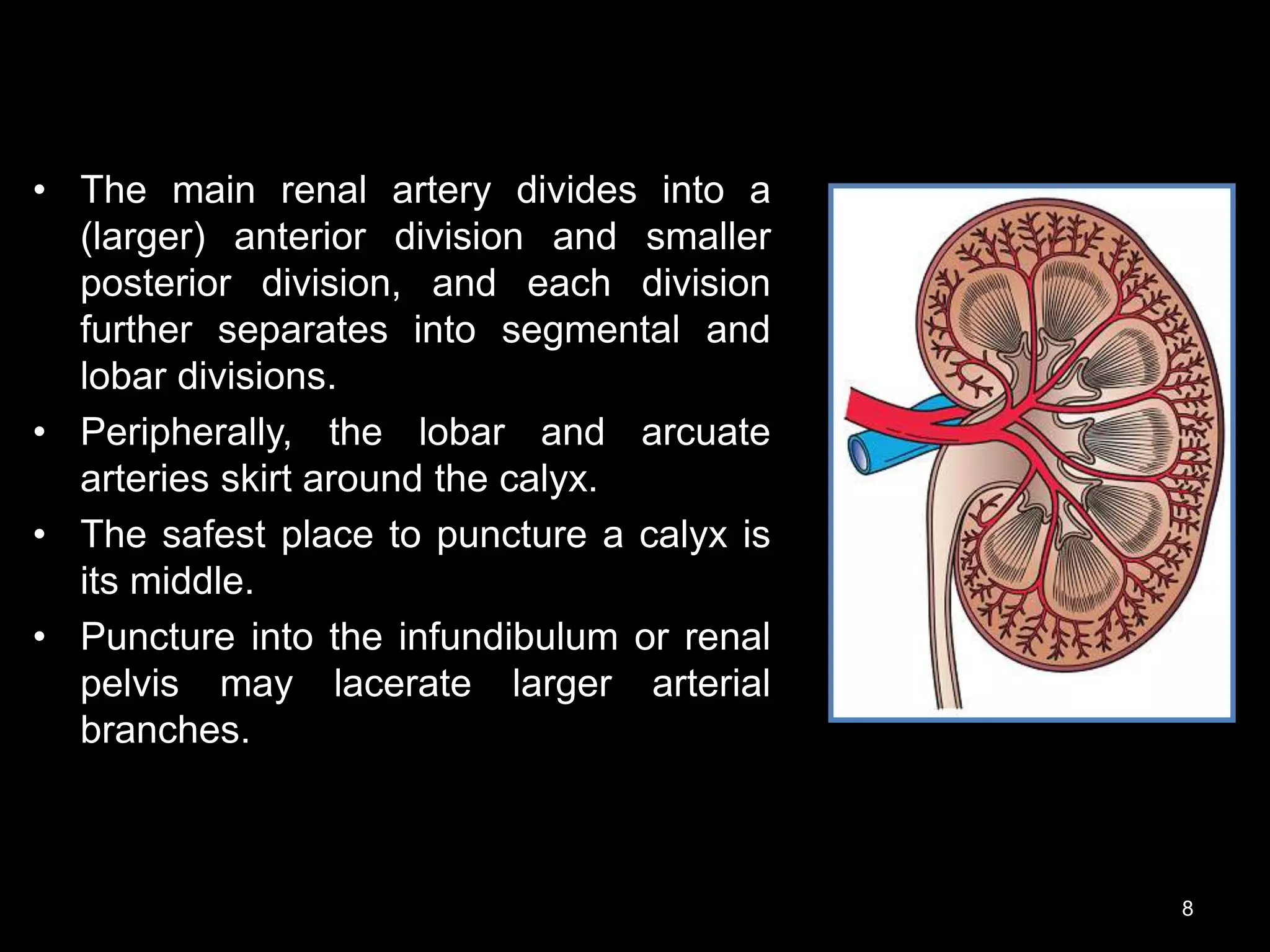 Percutaneous nephrostomy | PPTX