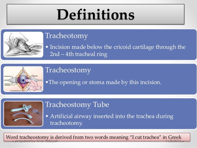 Percutaneous tracheostomy