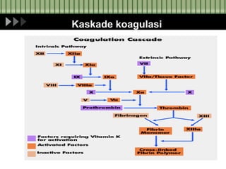 Tatalaksana Perdarahan Pada Anak | PPTX