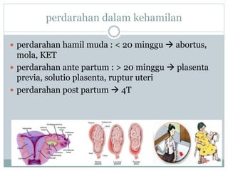 Perdarahan pada Kehamilan.pdf