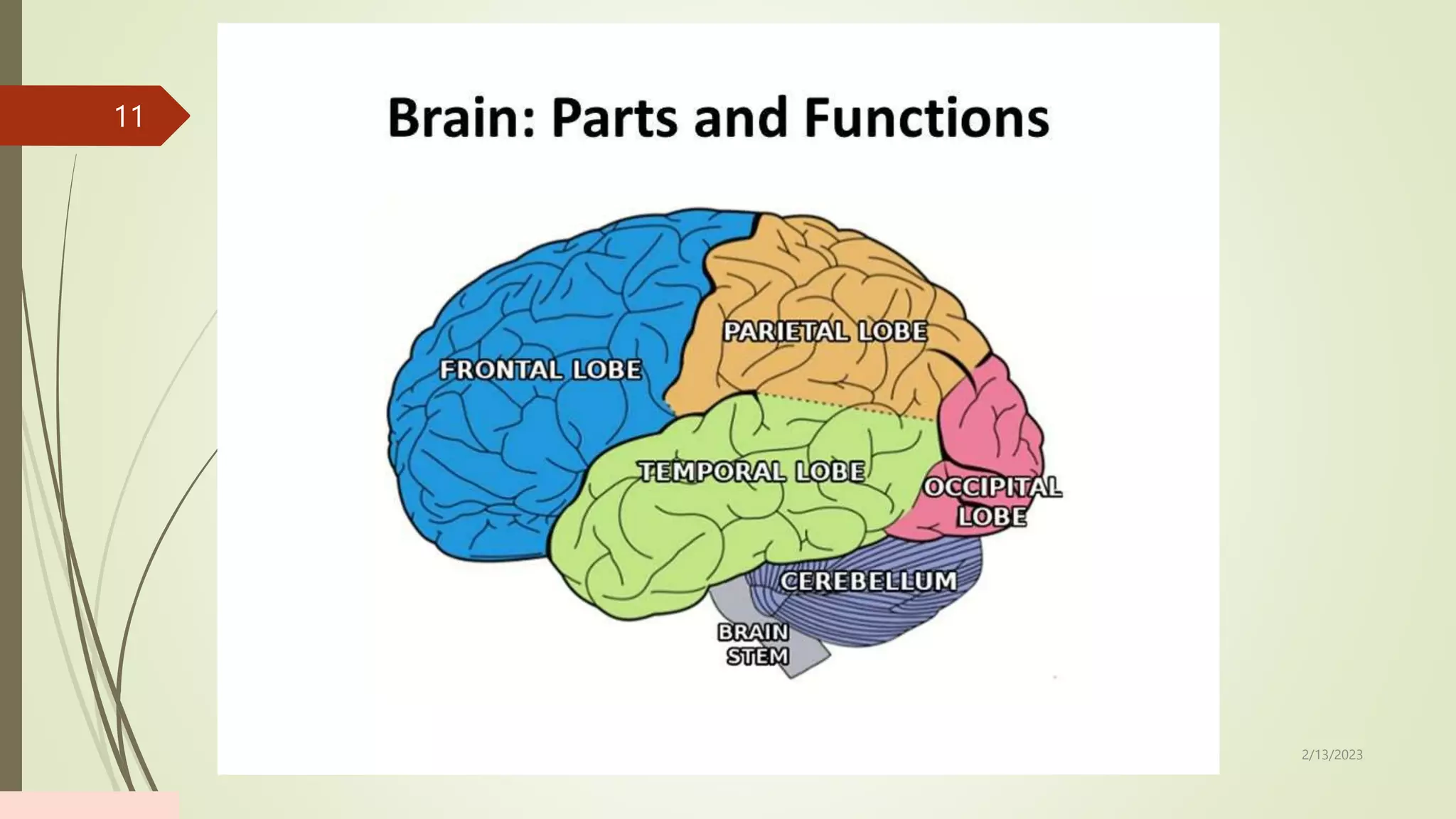 PERDEV- The Powers of the Mind.pptx