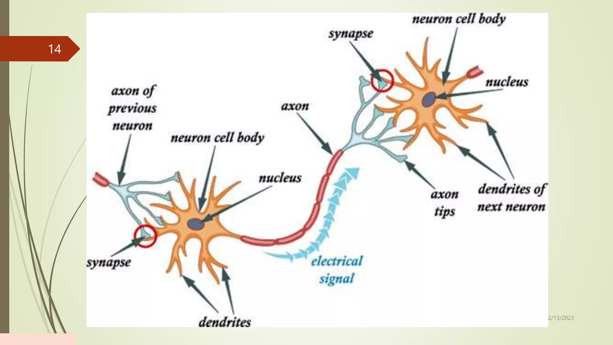 PERDEV- The Powers of the Mind.pptx