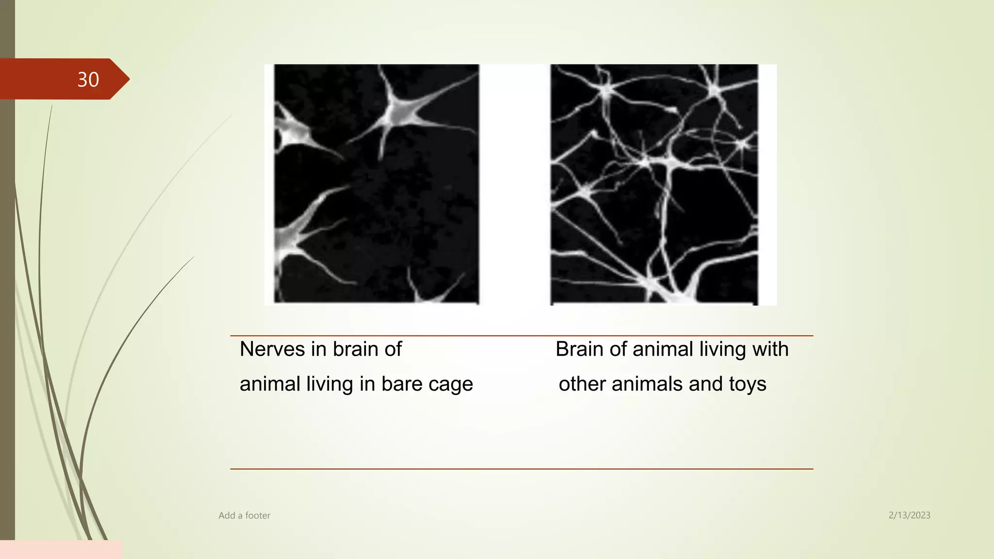 PERDEV- The Powers of the Mind.pptx