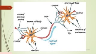 PERDEV- The Powers of the Mind.pptx