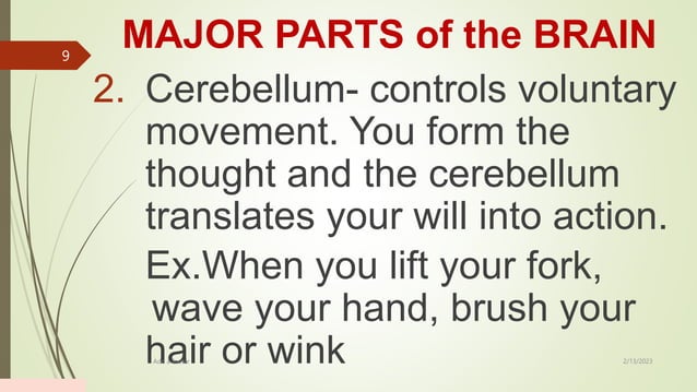 PERDEV- The Powers of the Mind.pptx | Brain and Nervous System ...