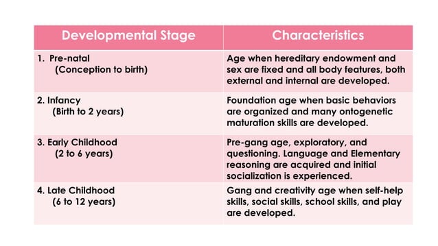PERDEV MODULE 3 - the developmental stages | PPTX