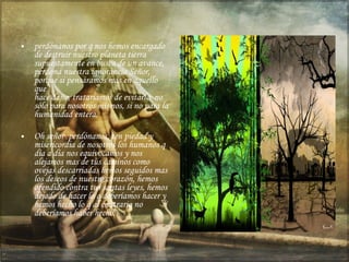 Perdon señor | PPT