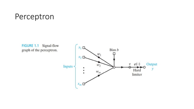 perceptron details and introduction scenario | PPTX