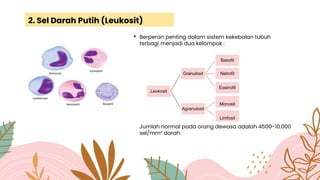 peredaran darah.pptx