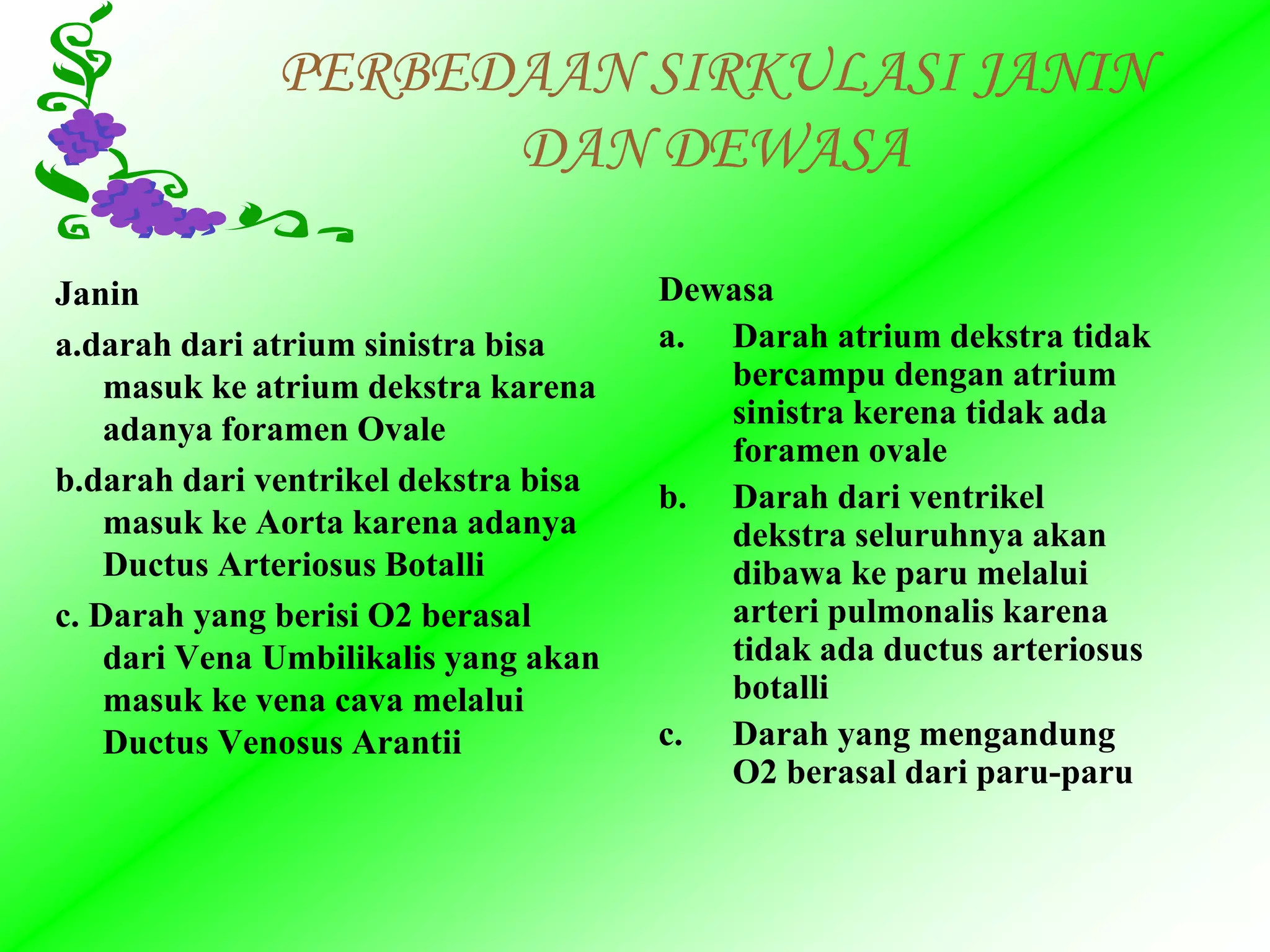 Peredaran Darah Janin | PPT