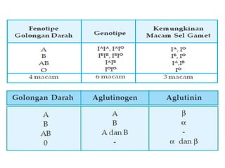 Sistem Peredaran darah kelas 8 merdeka belajar | PPT
