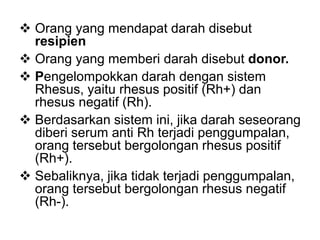Sistem Peredaran darah kelas 8 merdeka belajar | PPT