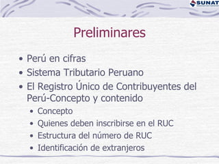 Registro de Contribuyentes: Identificación | PPTX