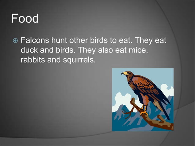 Peregrine falcons by steven | PPT