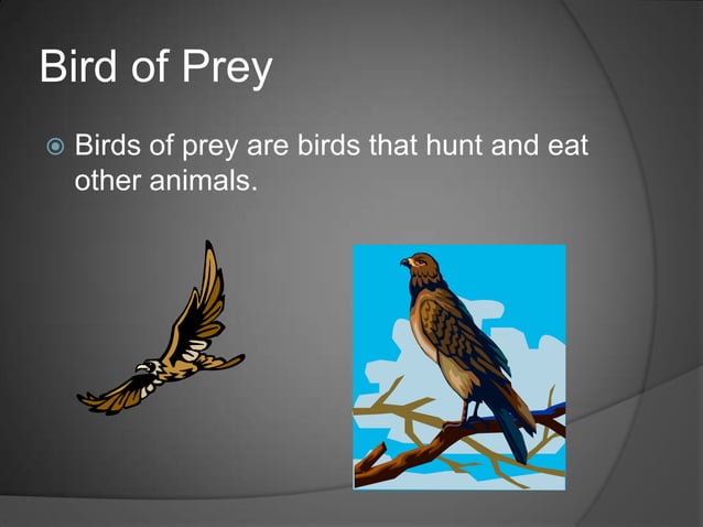 Peregrine falcons by steven | PPT