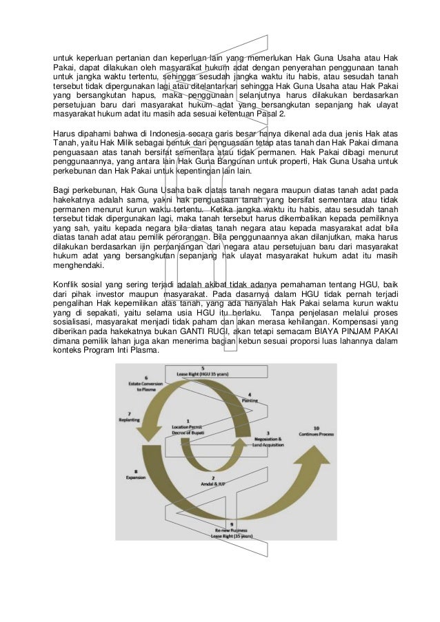 Contoh Karangan Aku Sebatang Pokok Kelapa Sawit Aku Sebatang Pokok