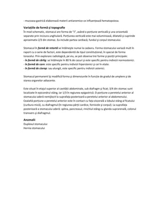 Anatomie: structura pereților gastrici | RTF
