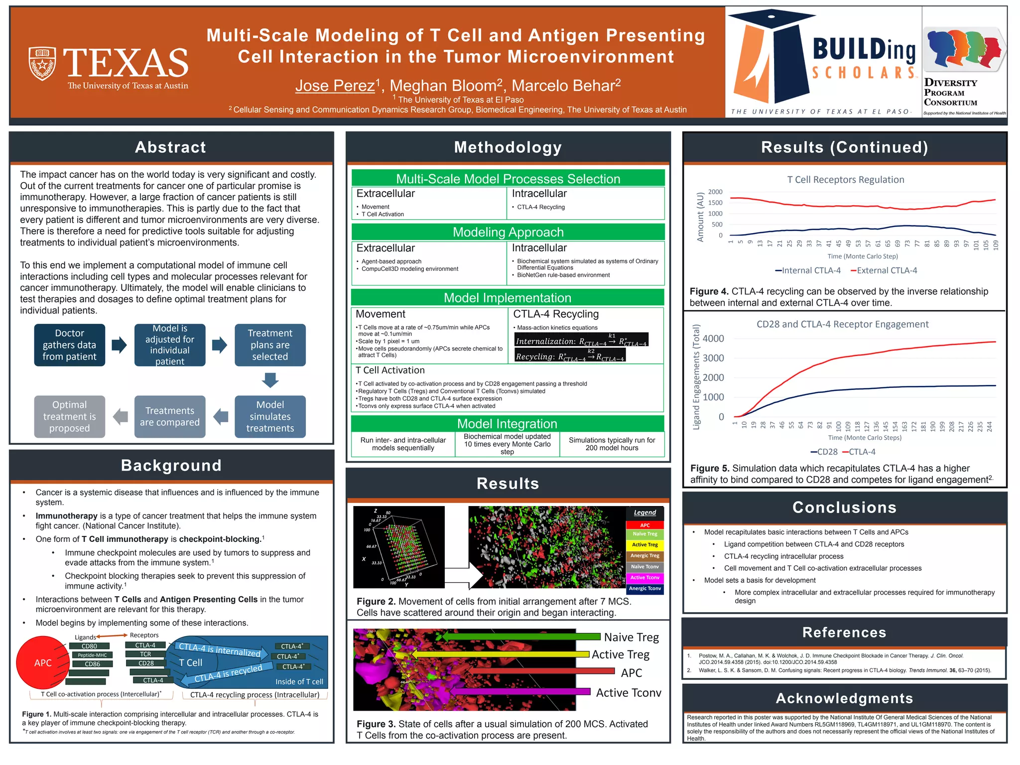 Multi-Scale Modeling of T Cell and Antigen Presenting Cell Interaction ...